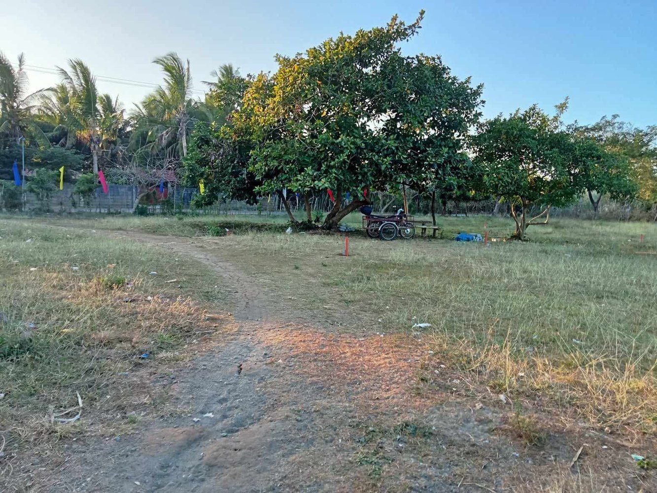 Subdivided Lot For sale In Patar Bolinao. - Living in Pangasinan: Guide to your new home