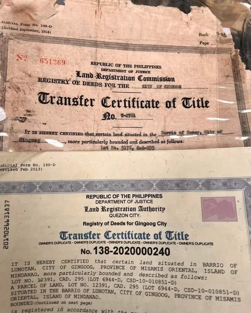 Real Estate 101 (Transfer of Title; From mother Title to individual ...