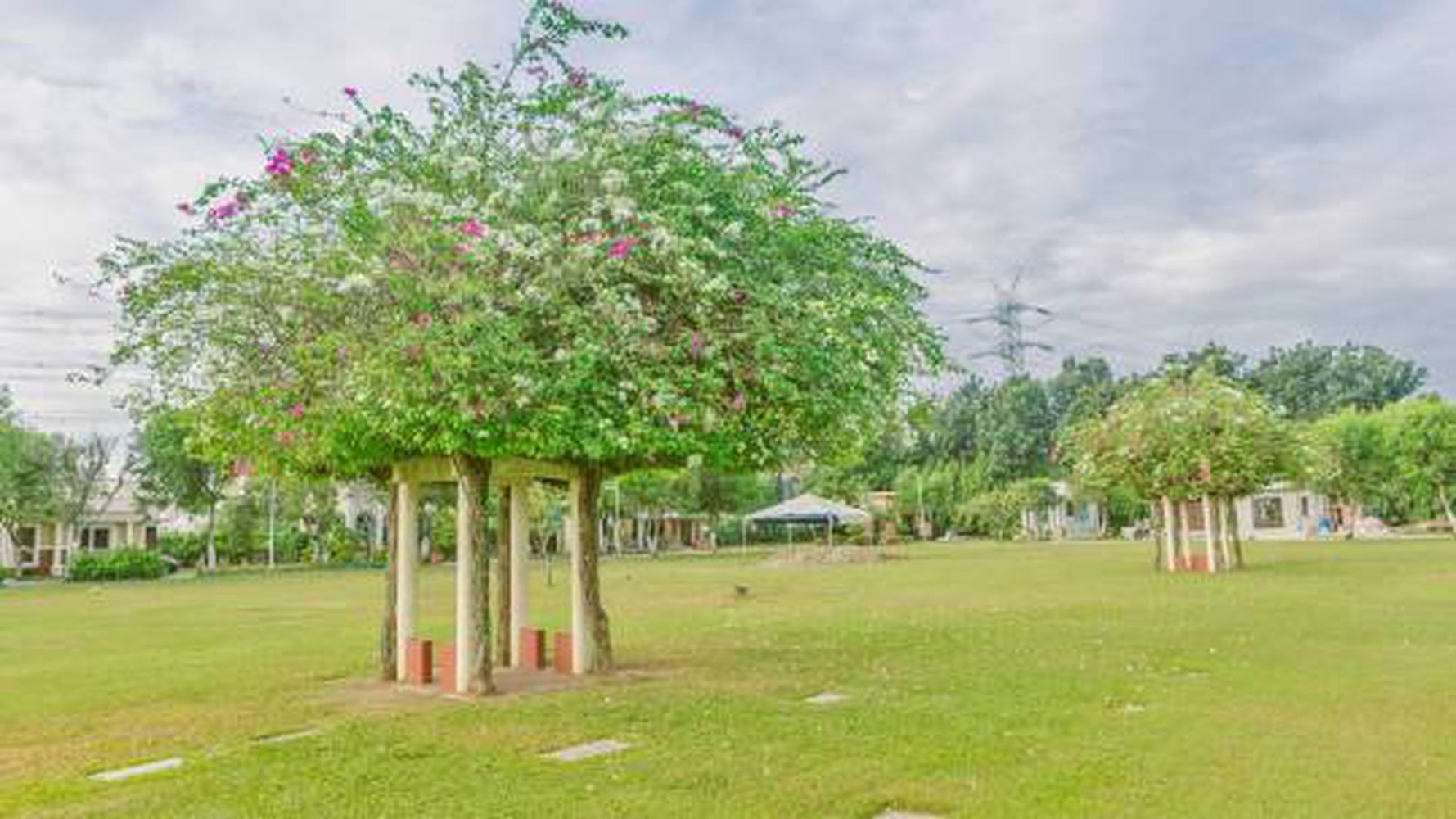 The Advantages of Investing in Memorial Lots - OnePropertee Community