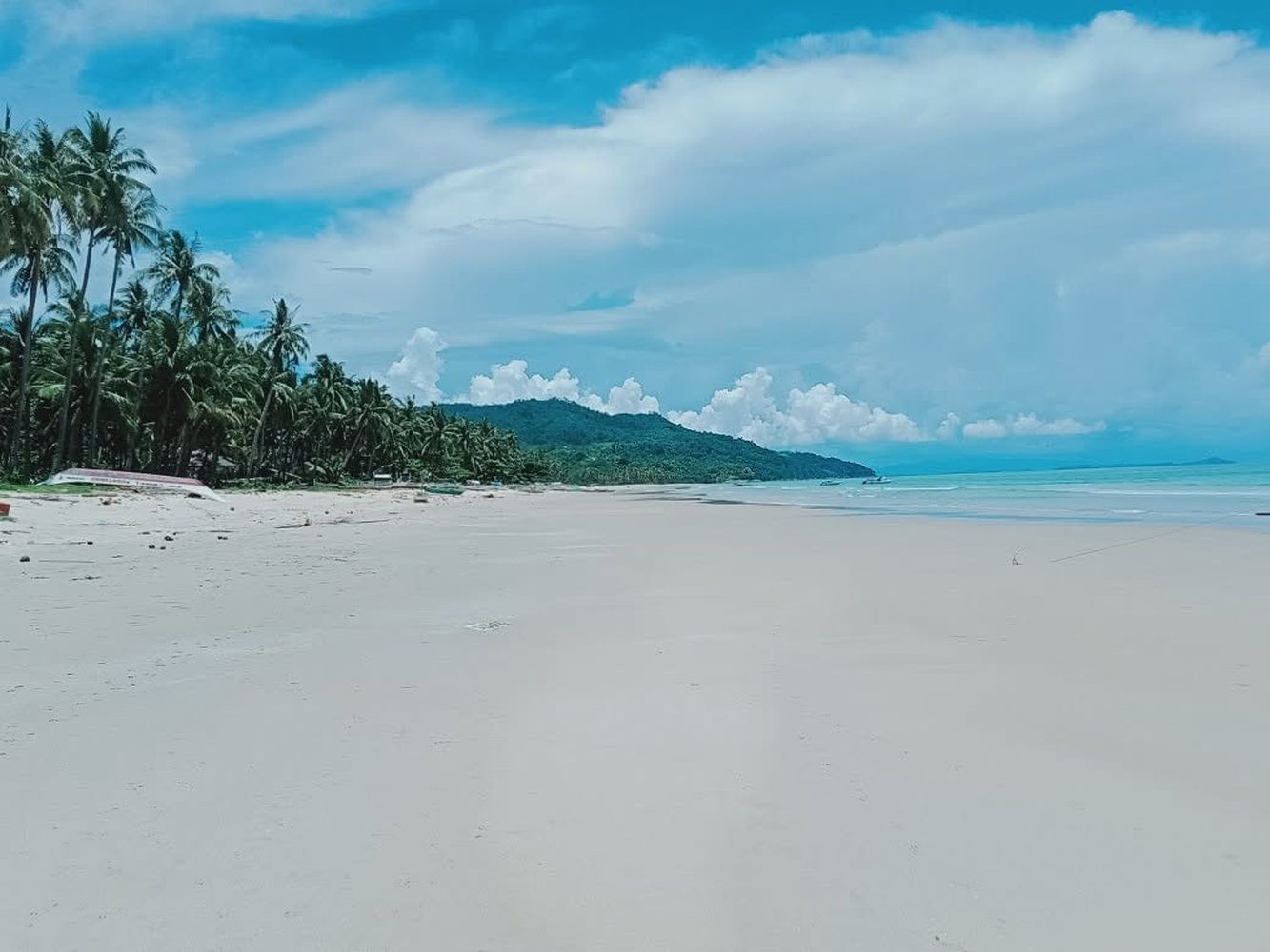 The Palawan Play: 1,000 sqm Prime Resort-Hotel Lot in San Vicente ...
