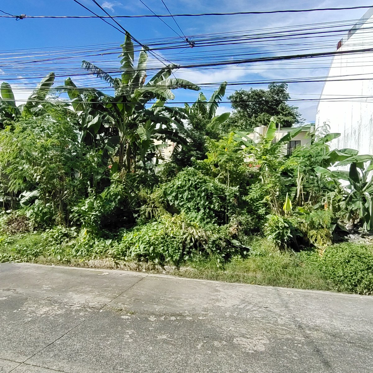 FOR Sale: Vacant Lot in Almanza Uno, Las Pinas [Lot 🚜] (February 2024 ...