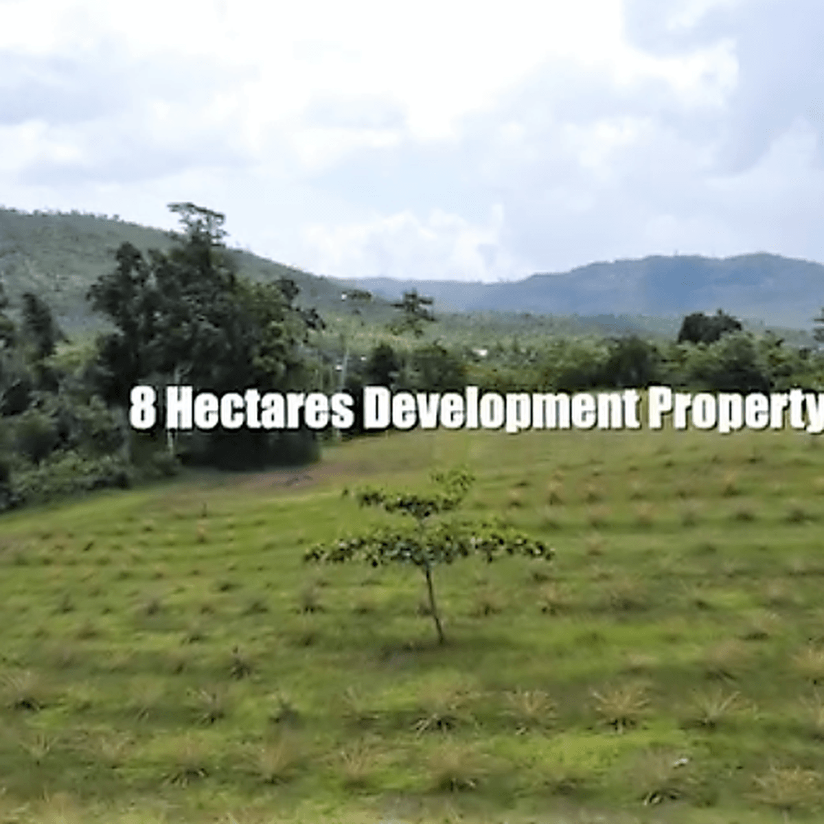 Discover Your Paradise: 8-Hectare Palawan Farm for Sale! [Lot 🚜] (May ...