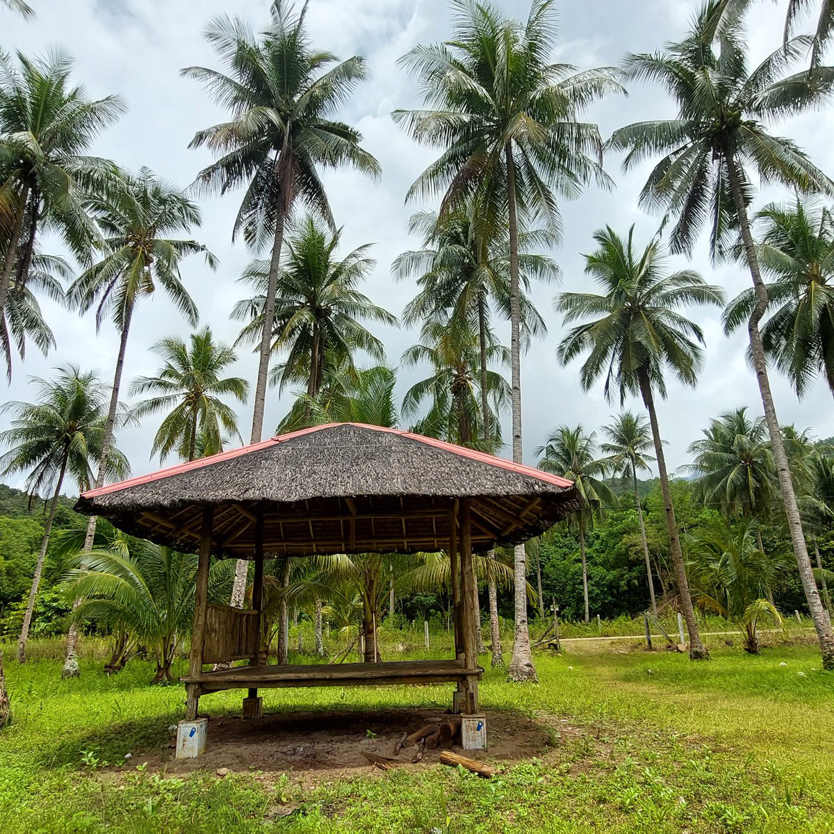6.2 hectares Beach Property For Sale In Berong Quezon Palawan [Beach ...