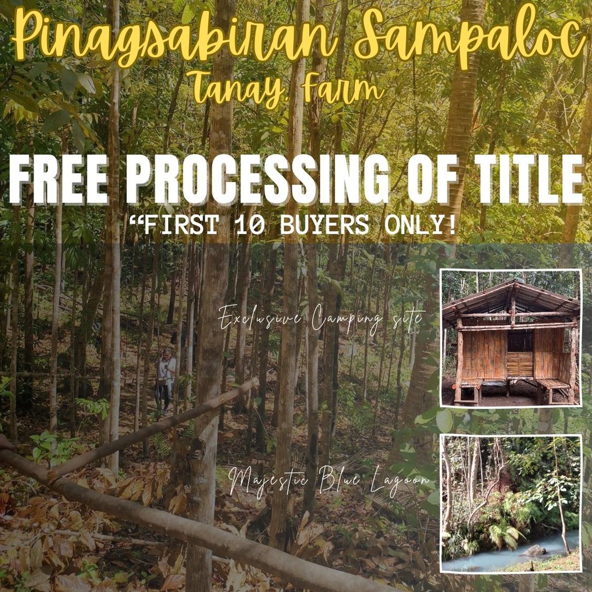 1,000 sqm Residential Farm For Sale in Tanay Rizal [Lot 🚜] (March 2024 ...