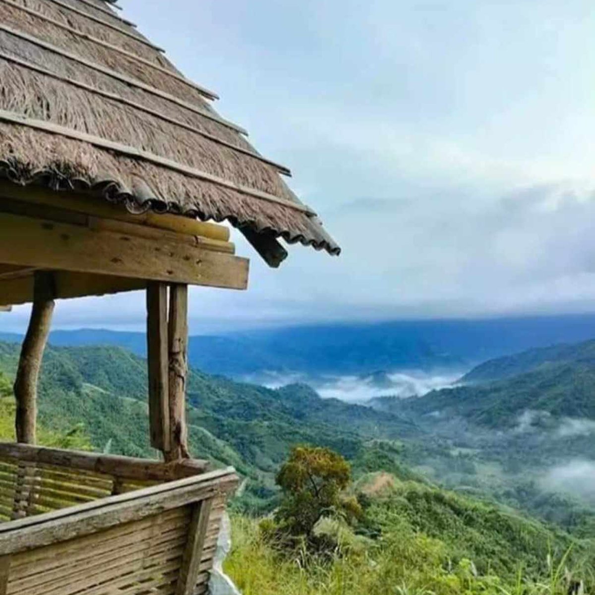 Residential farm lot [Lot 🚜] (August 2024) in Tanay, Rizal for sale