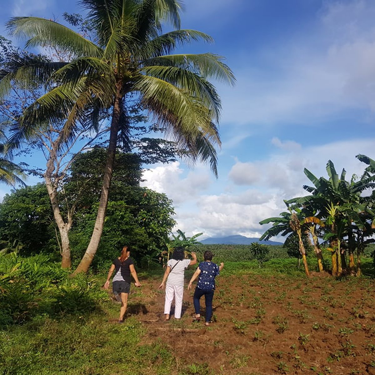 455 sqm land. Brgy binalay, tinambac camarines sur [Lots 🚜] (November ...