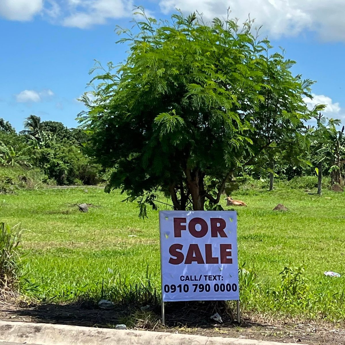 FORECLOSED Available Lots With Commercial Potential [Lot 🚜] (February ...