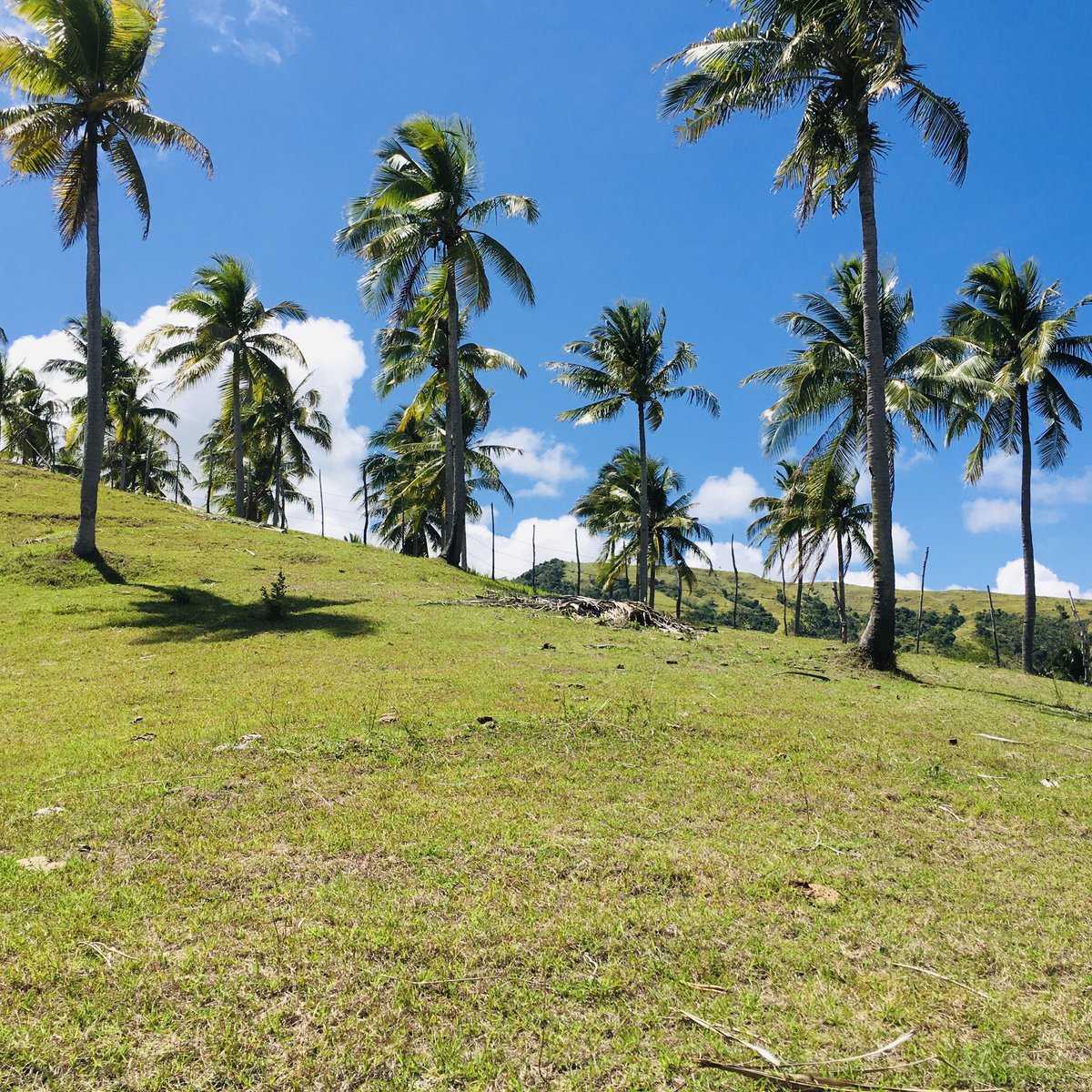 Our land: seaside serenity atop a soothing slope. Amazing view [Lot 🚜 ...