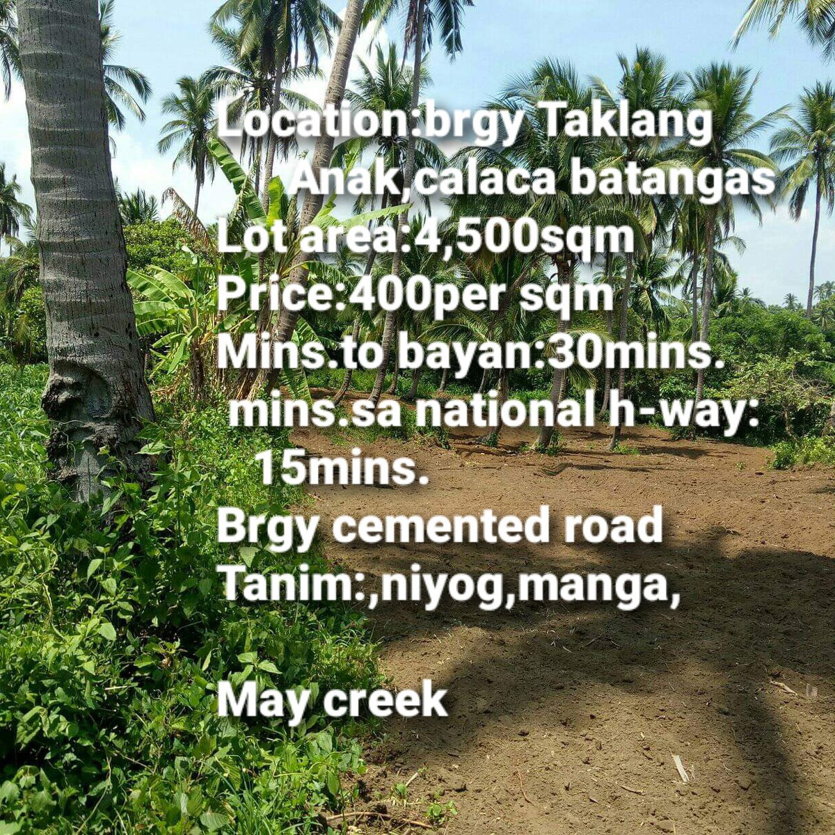 Farm lot at batangas 4,500sqm at 400pesos per sqm [Lot 🚜] (September ...