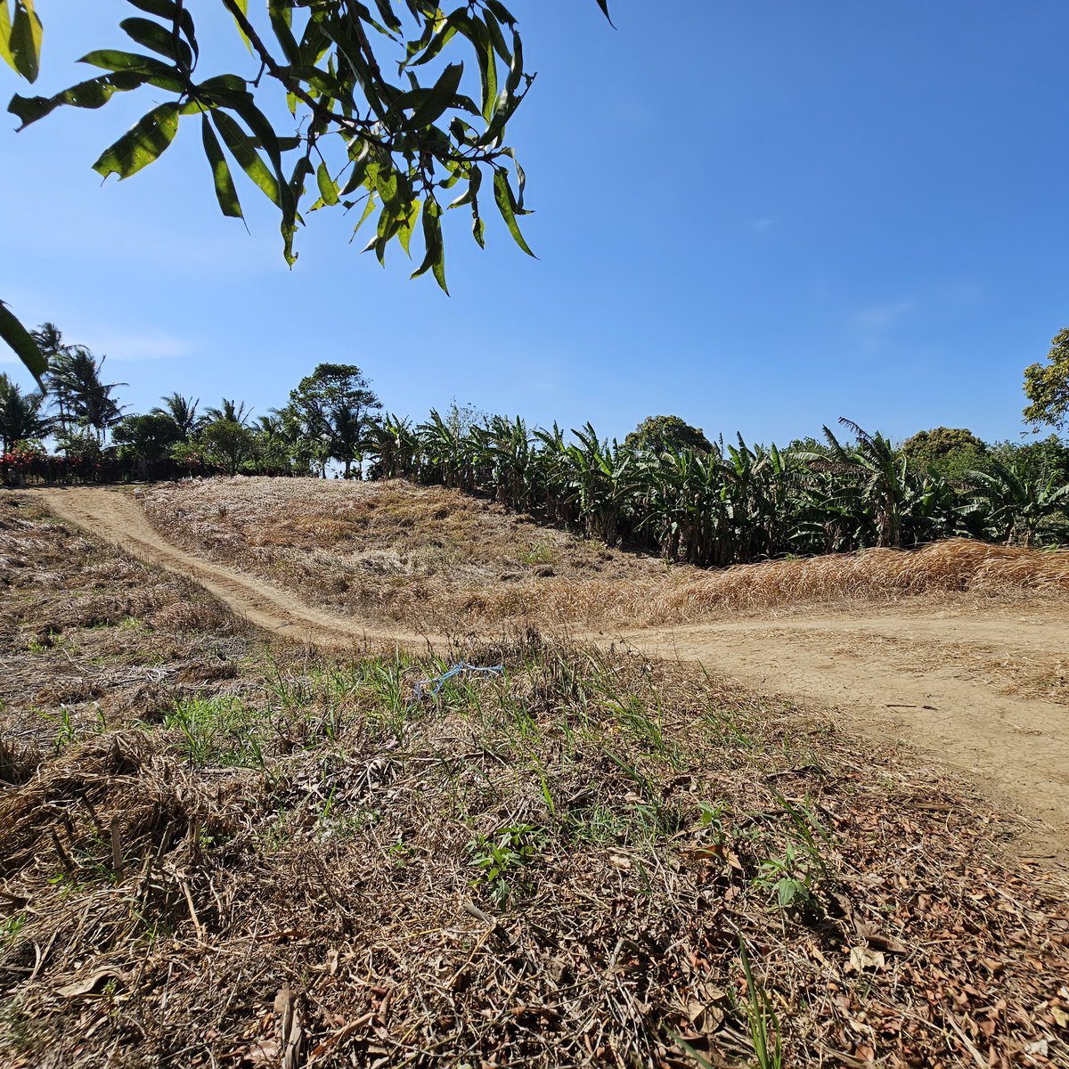 AFFORDABLE RESIDENTIAL LOT FOR SALE IN SILANG CAVITE [Lot 🚜] (January ...