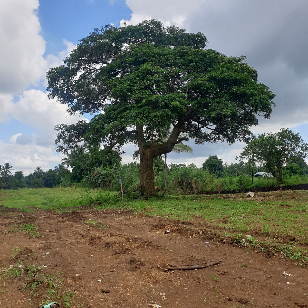 Residential Farm lot No Downpayment 5 yrs to pay O Interest [Lot 🚜 ...