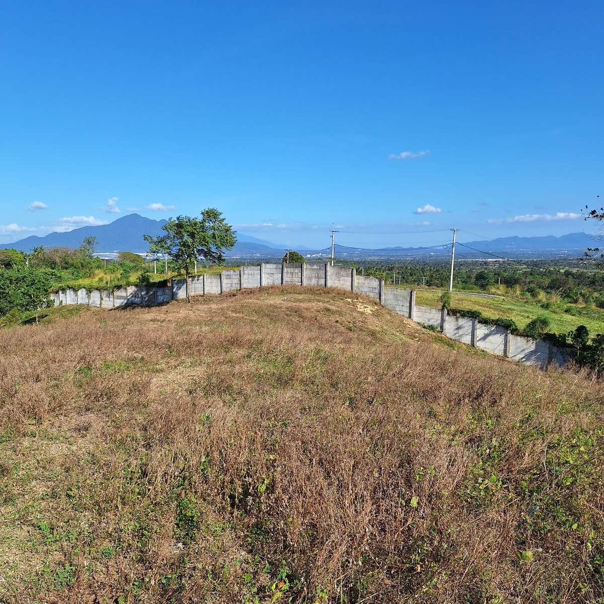 2 hectares Residential Farm For Sale in Tanauan Batangas [Lot 🚜] (May ...