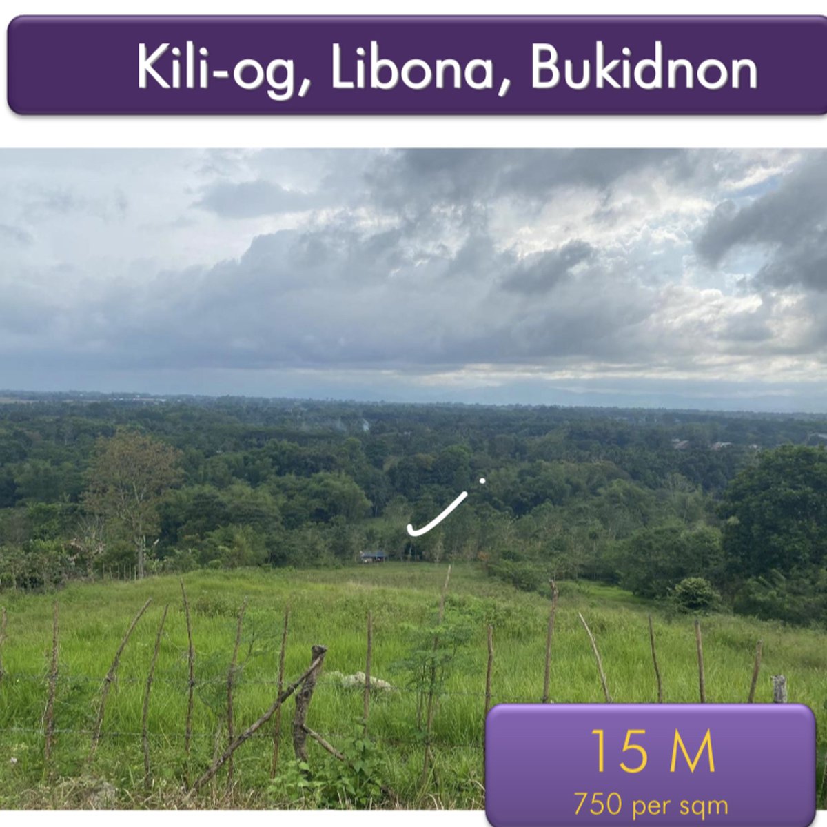 2 hectares Raw Land For Sale in Kili-og Libona Bukidnon [Lot 🚜] (April ...