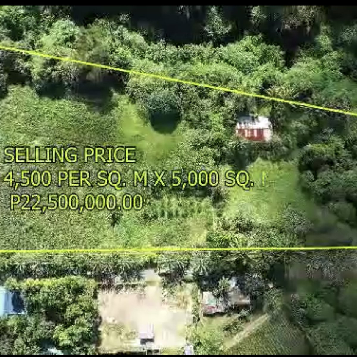 Farm lot in Alfonso Cavite 5000 sqm. With existing fruit bearing [Lot 🚜 ...