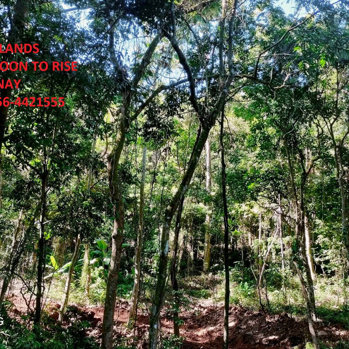 Tanay Rizal House And Lot For Sale at Faye Garcia blog