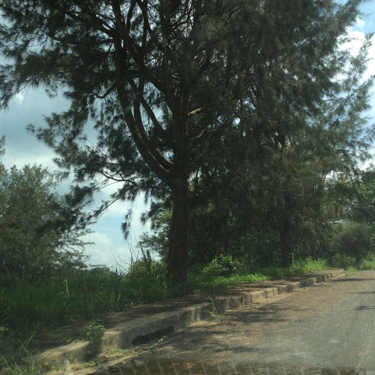 Residential Lot for sale at Inarawan Antipolo Kingsville Heights [Lot 🚜 ...