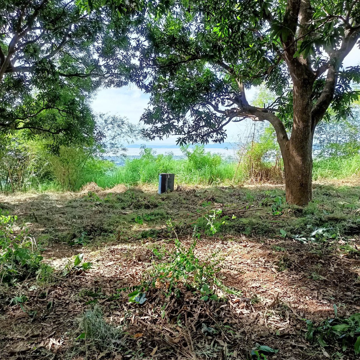 72-109 sqm Residential Lot For Sale in Tanay Rizal [Lot 🚜] (May 2023 ...