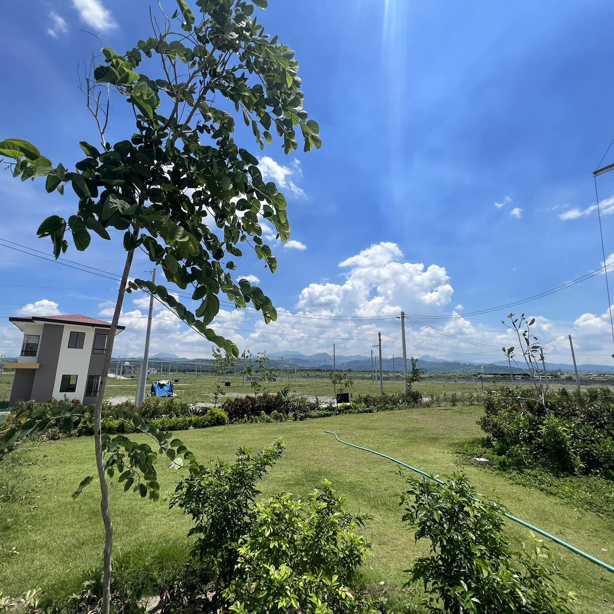 Premium Lots in Alviera Porac Pampanga, preselling Ayala Land property ...