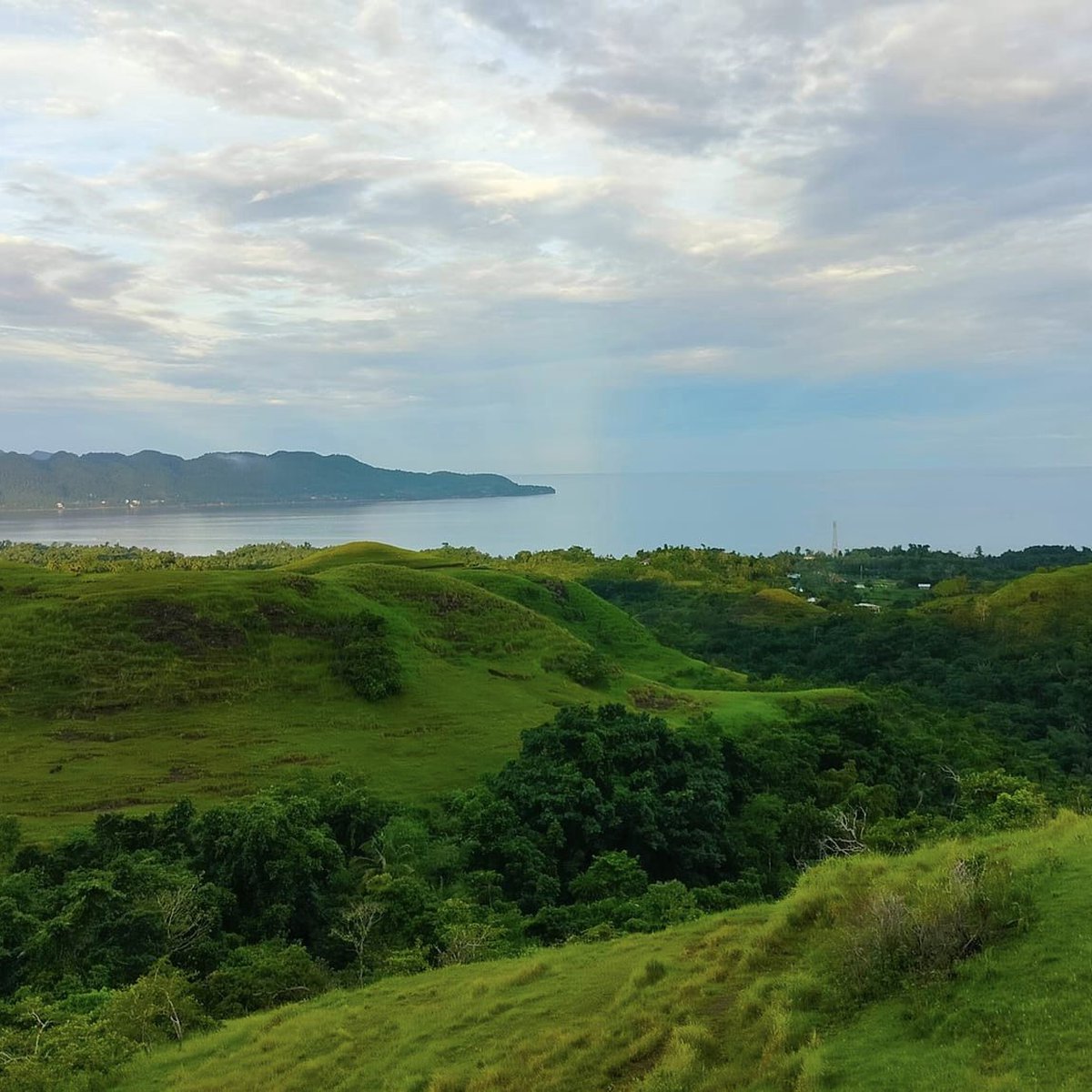 2.2 hectares overlooking to the sea Guindulman Bohol 1.5m net [Lot 🚜 ...