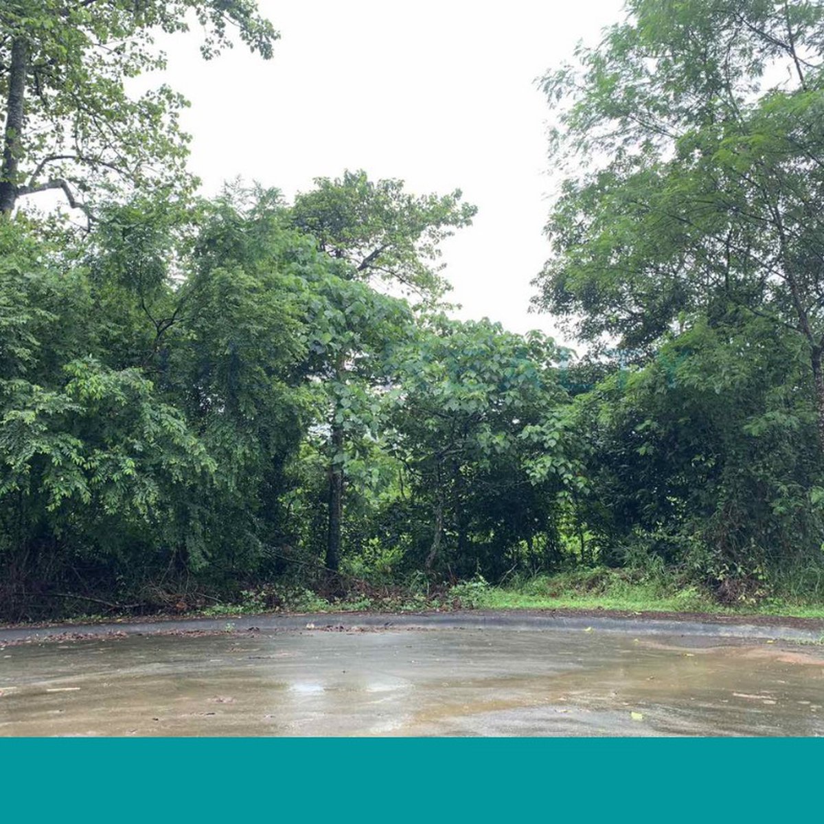 1519 sqm Residential Lot For Sale in Forest Farms, Angono Rizal [Lot 🚜 ...