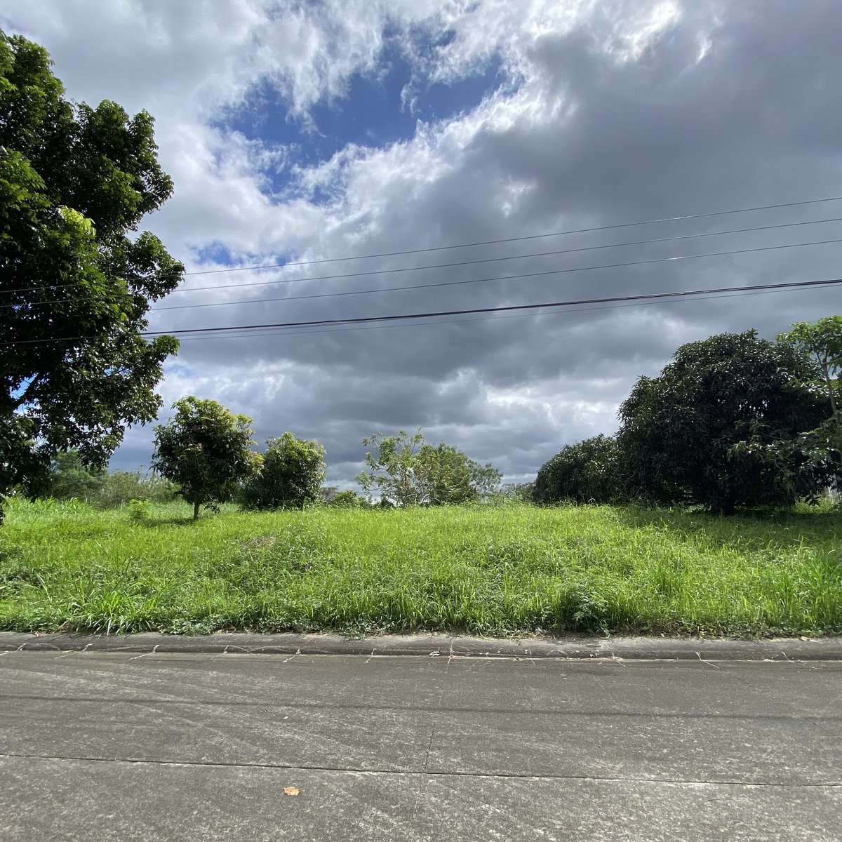 1101 sqm farm lot for lease Avida Hacienda Sta. Monica (Lipa) [Lot 🚜 ...