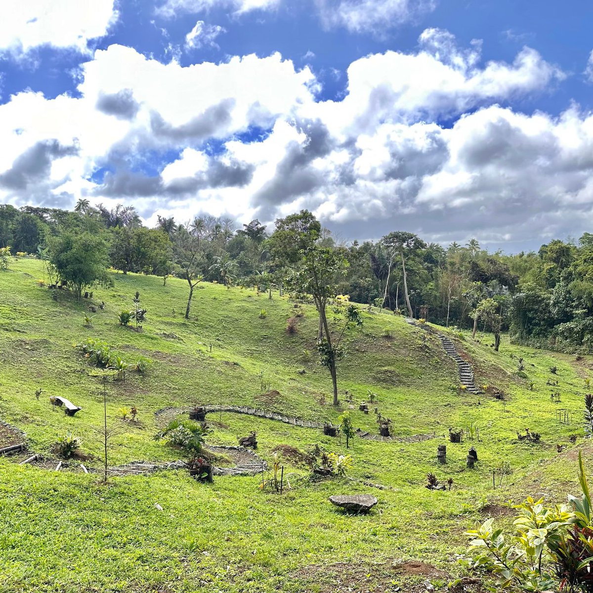 Farm and Resort lot overlooking Caliraya Lake and Mount Banahaw view ...
