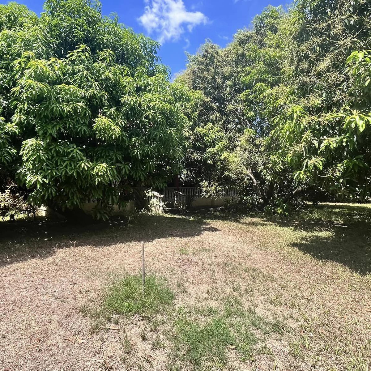 3.6 hectares Agricultural Farm For Sale in Magalang Pampanga [Lot 🚜 ...