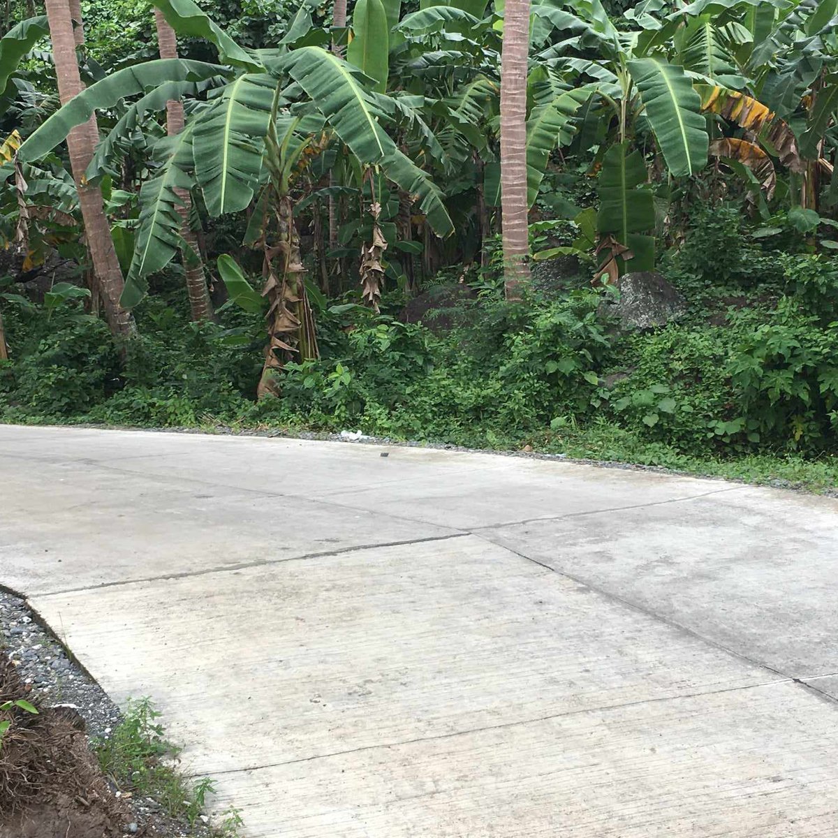 5 hectare Farmland with road through,with electricity and water for sa ...