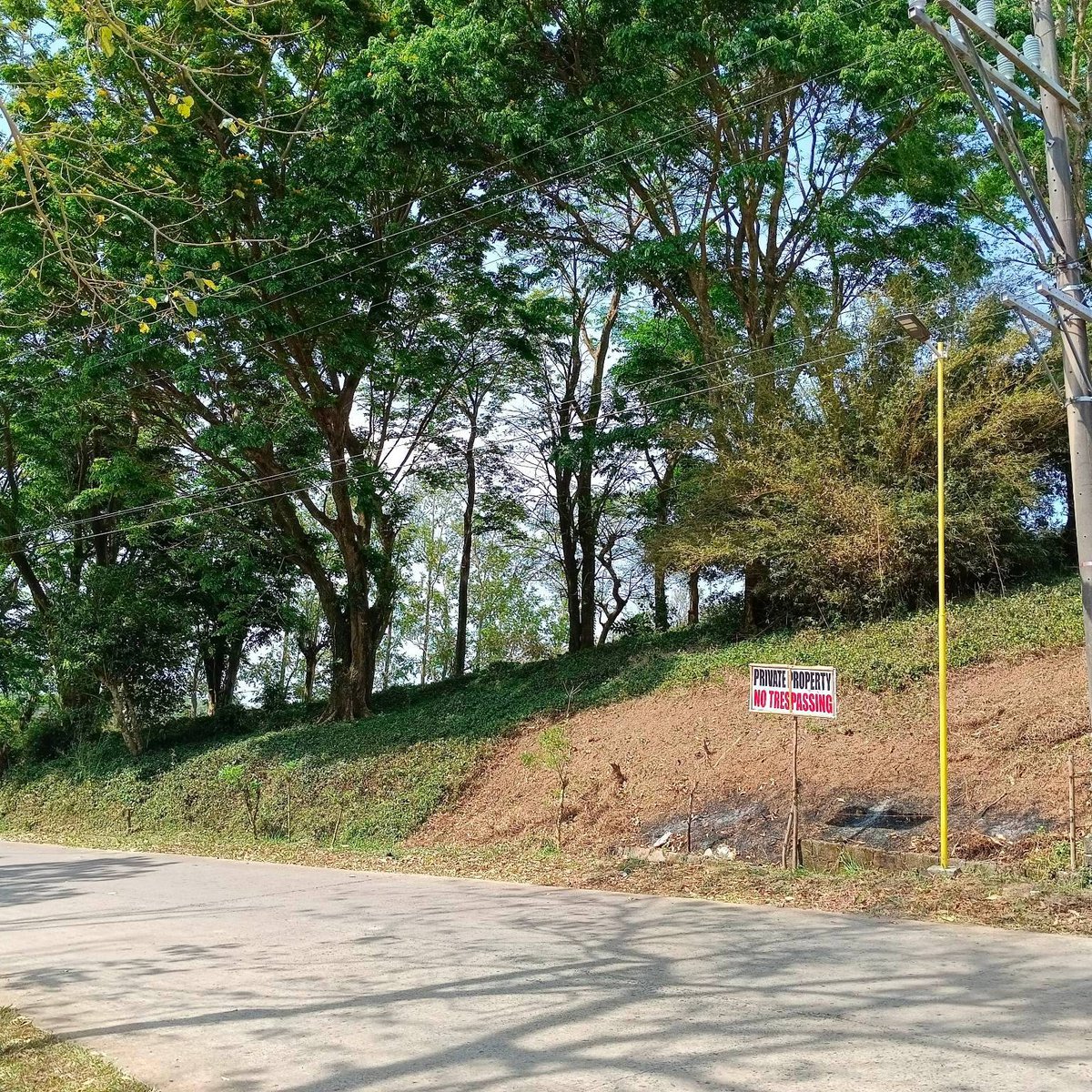 5 Hectare Lot -Whole or Title (1 hectare, 1.5 hectares, 2.6 hectares ...