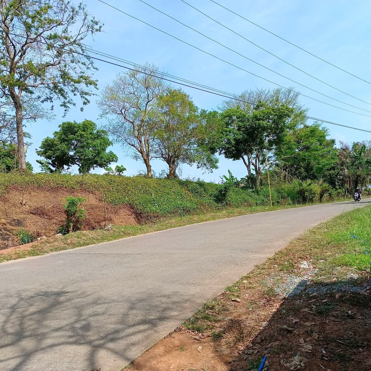 2.6 hectares Residential Farm For Sale in Tanay Rizal [Lot 🚜 ...