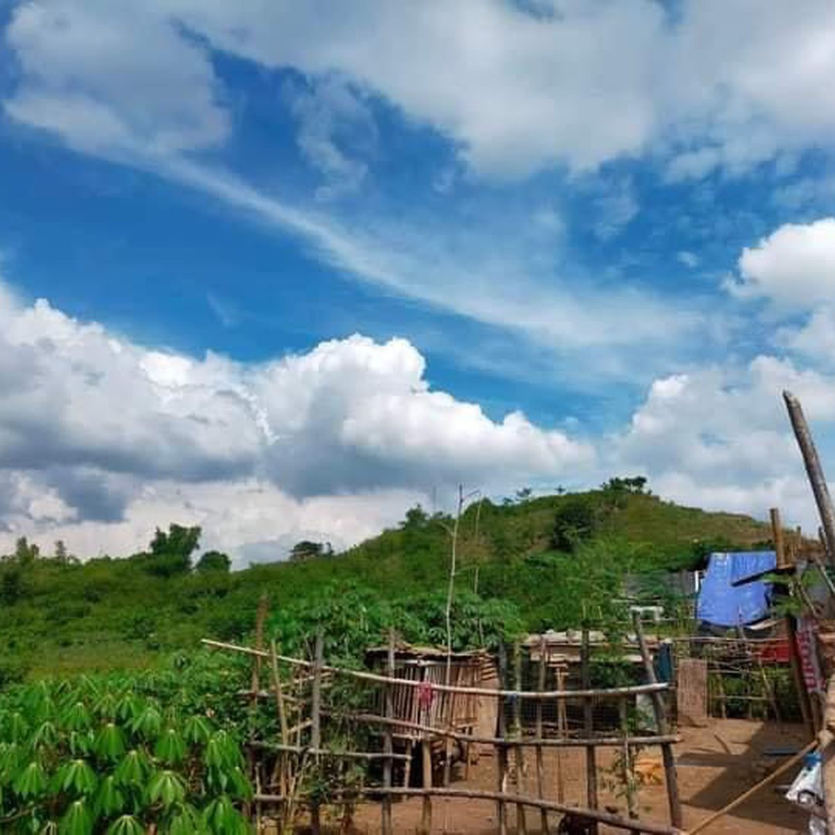 40 sqm Residential farm lot in DEL RIO HEIGHTS Morong, Rizal [Lot 🚜 ...