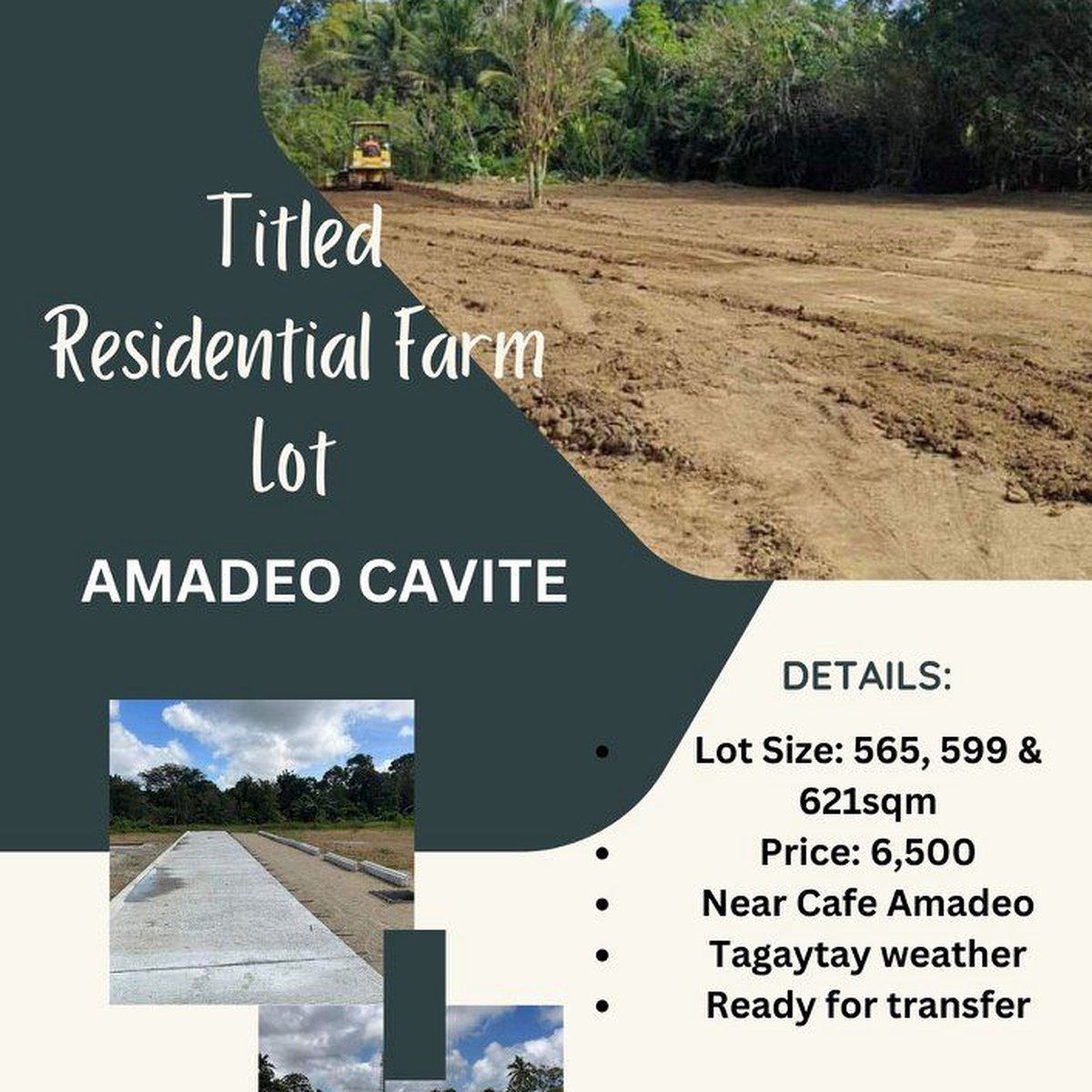 565 sqm Residential Farm For Sale [Lot 🚜] (February 2024) in Amadeo ...