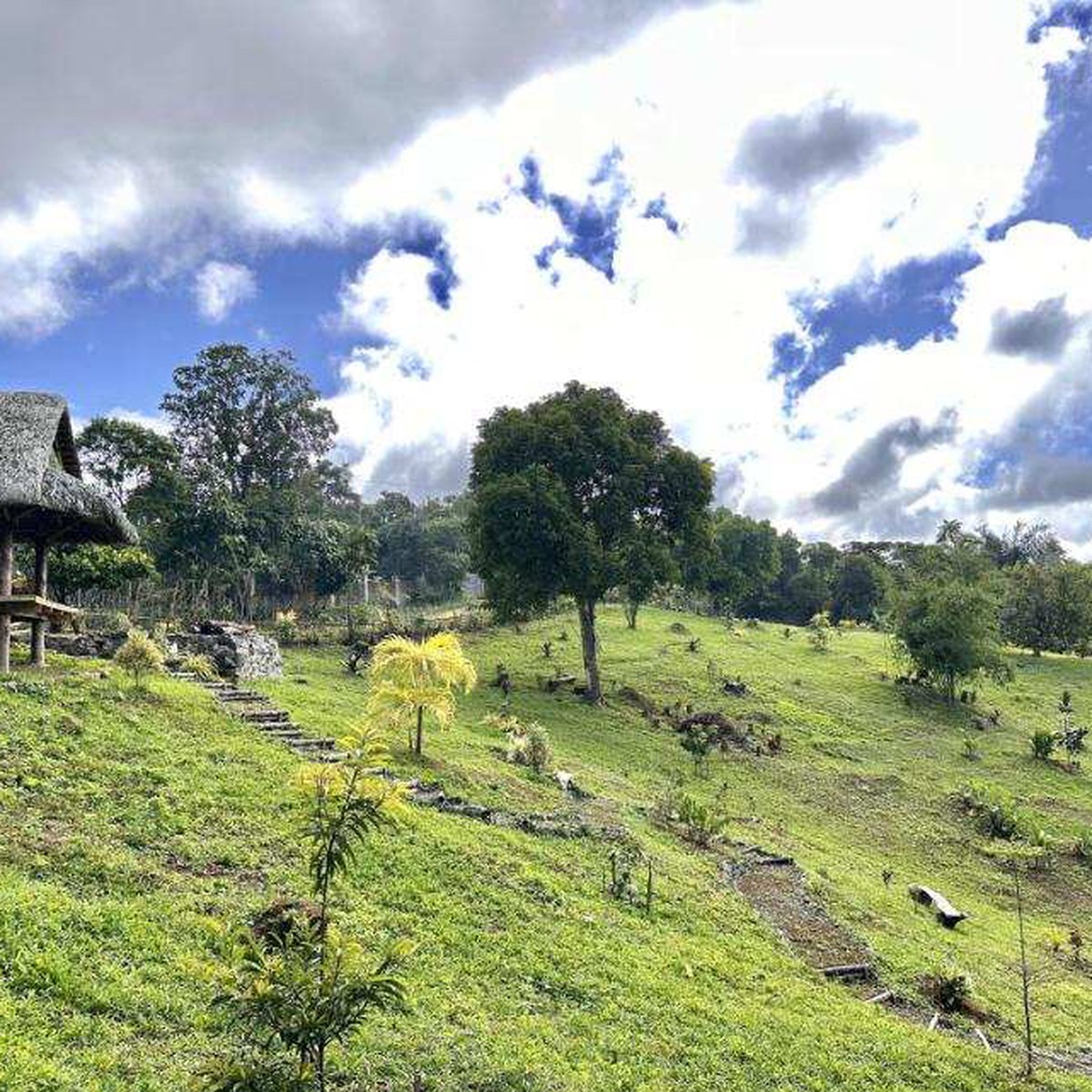 FARM & RESORT CALIRAYA CAVINTI LAGUNA [Lot 🚜] (July 2024) in Cavinti ...