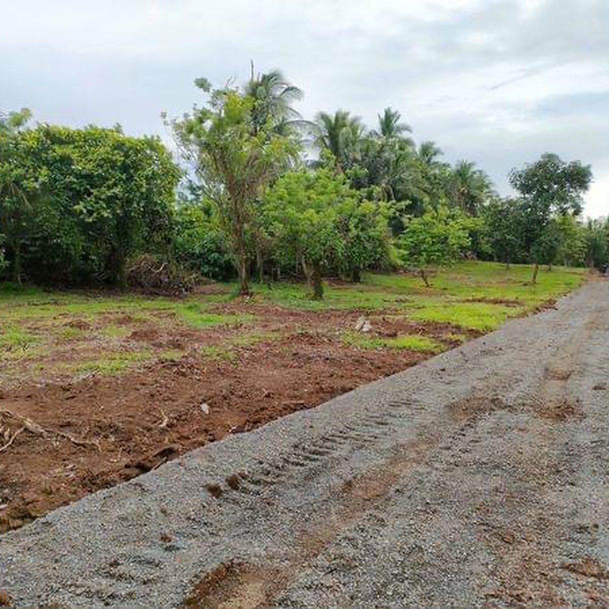 Affordable Residential Farm Lot Indang Cavite (Near Tagaytay) [Lot 🚜] (January 2023) in Indang ...