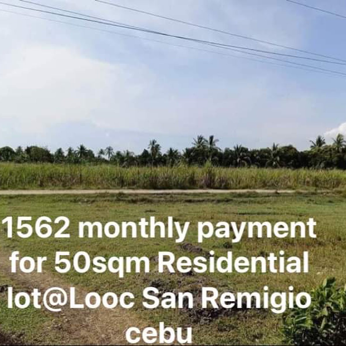 50 sqm Subdivided Residential lot in San Remigio Cebu [Lot 🚜] (August ...