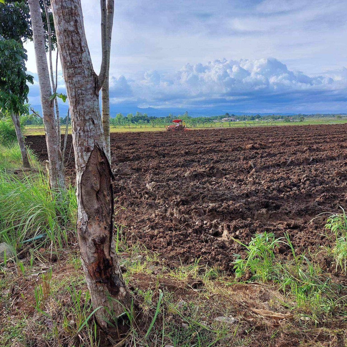 5 HECTARES RICE FIELD - BANSUD ORIENTAL MINDORO [Lot 🚜] (July 2024) in ...