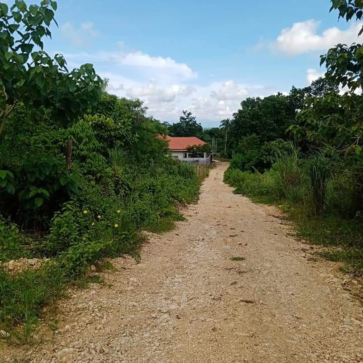 Clean title lot sold by owner,looking for direct buyers. [Lots 🚜] (July ...