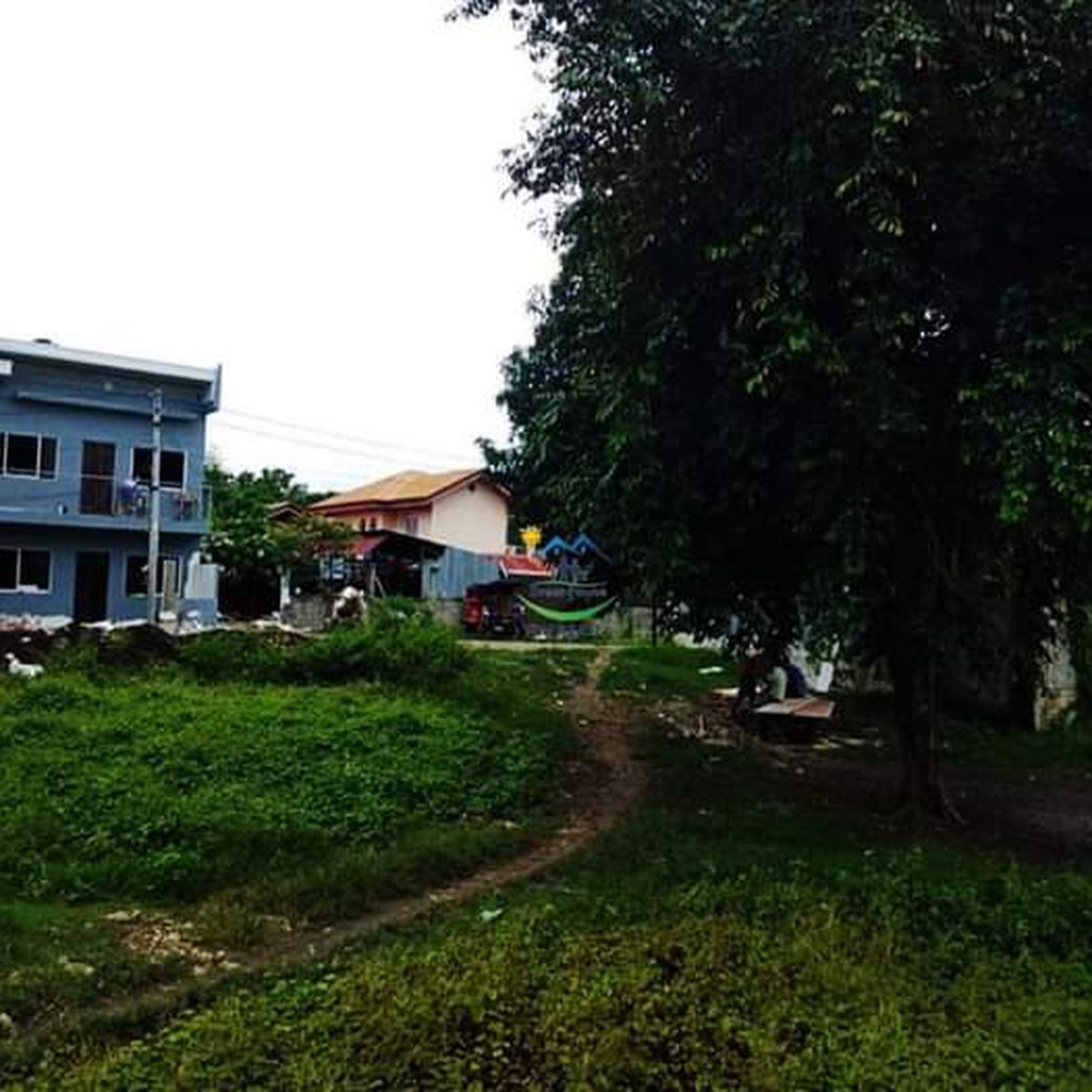 Residential Lot for Sale in Marigondon,Lapulapu City [Lot 🚜] (June 2023 ...