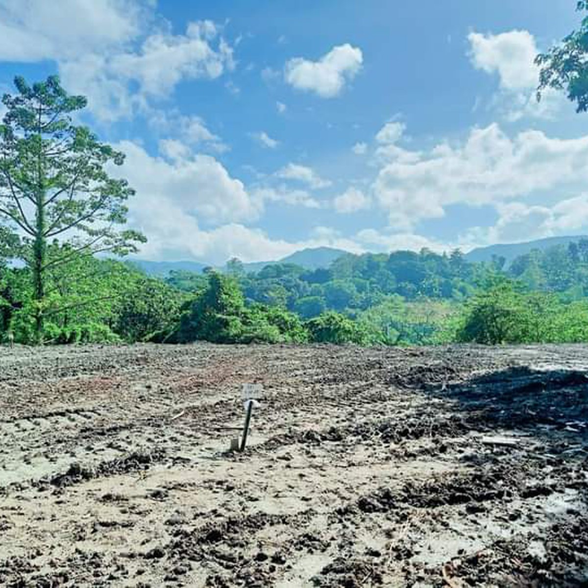 240 sqm Lot near hiway/barangay road. Pwede png business! [Lot 🚜 ...