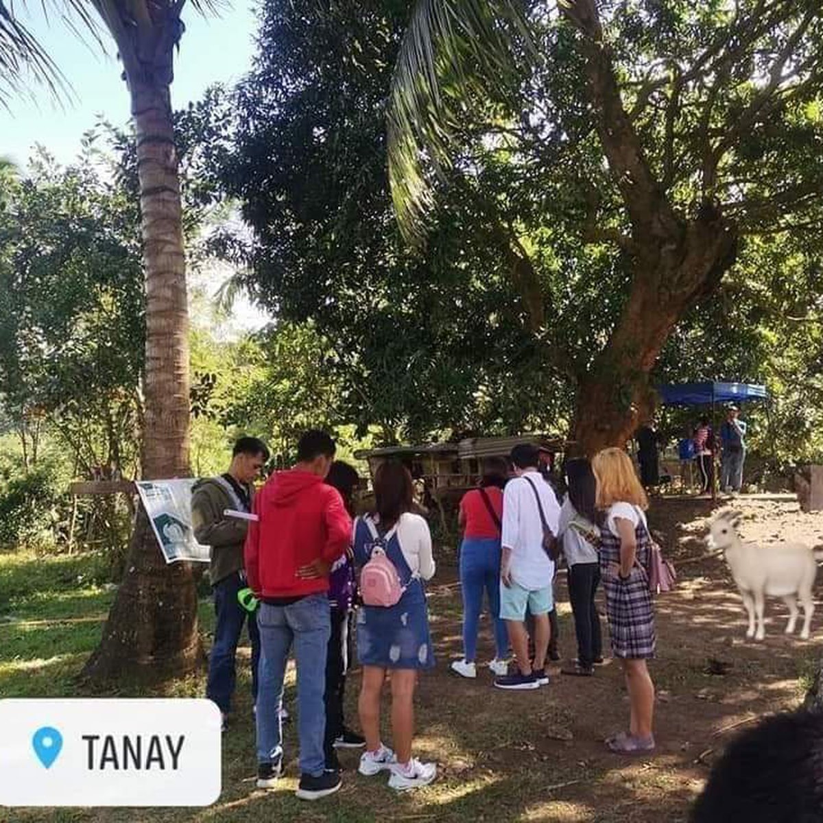 Residential Farm Lot for sale @ Tanay Rizal Near Daranak falls [Lots 🚜 ...