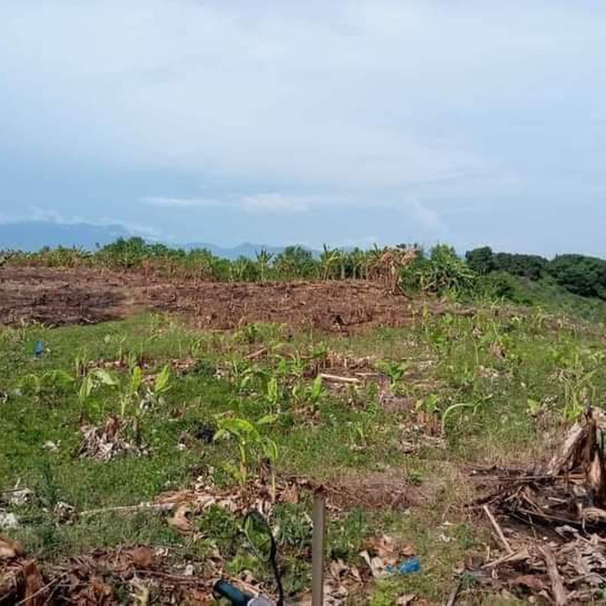 Land For Sale In Mati Davao Oriental at Rebecca Guay blog