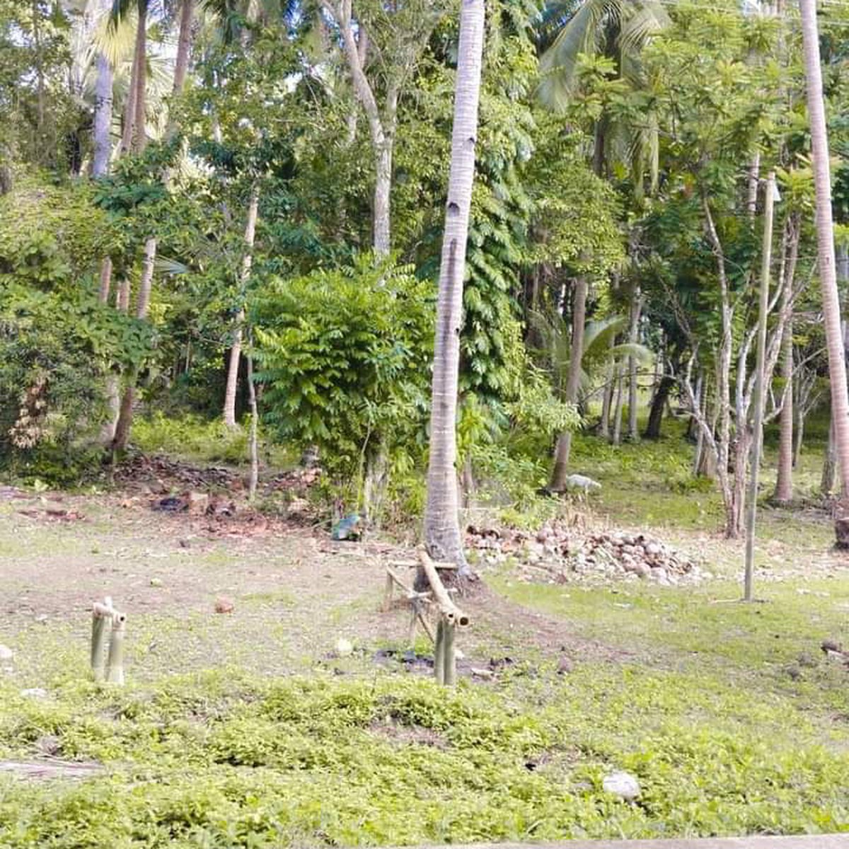 1,800 sqm residential lot for sale in Poro ,camotes ,Cebu [Lot 🚜 ...