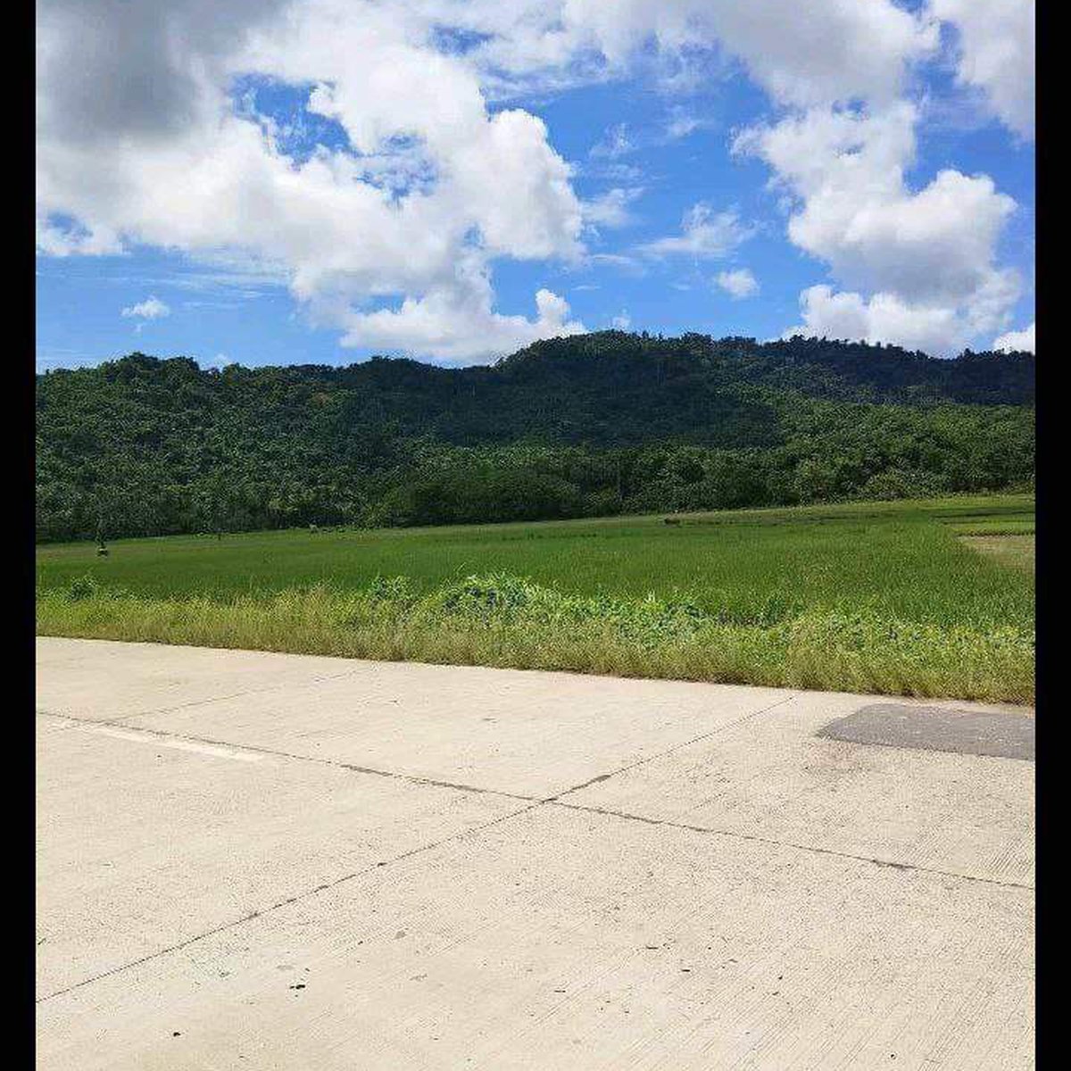 7,983 sqm Residential Farm For Sale in El Nido (Bacuit) Palawan [Lots 🚜 ...