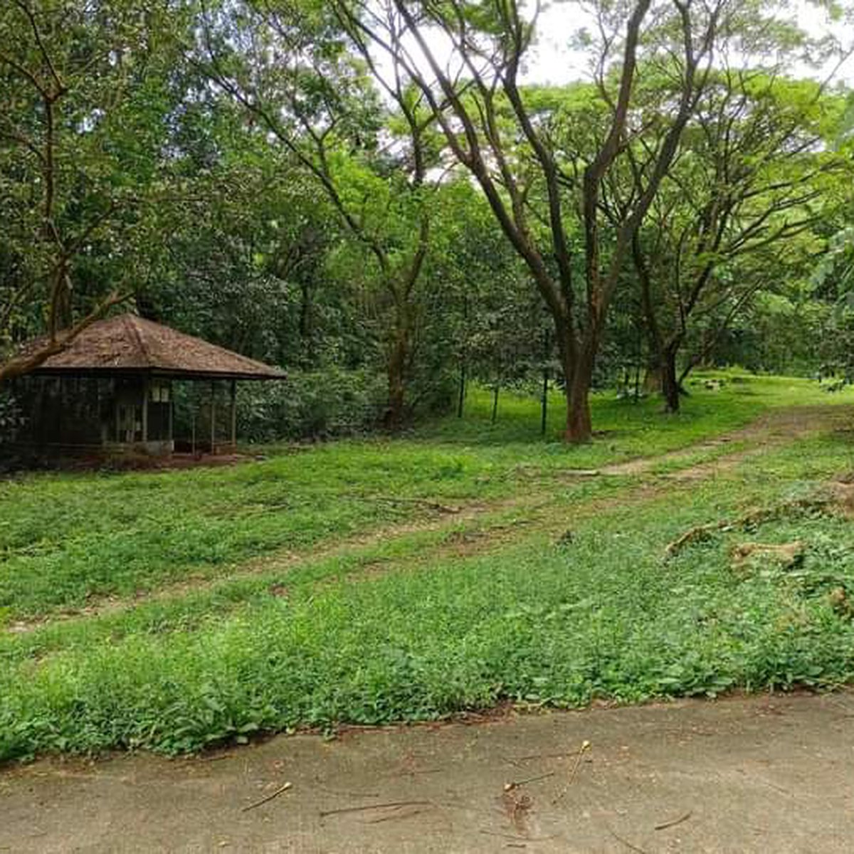 Farm lot in Tanay Rizal [Lot 🚜] (September 2024) in Tanay, Rizal for sale