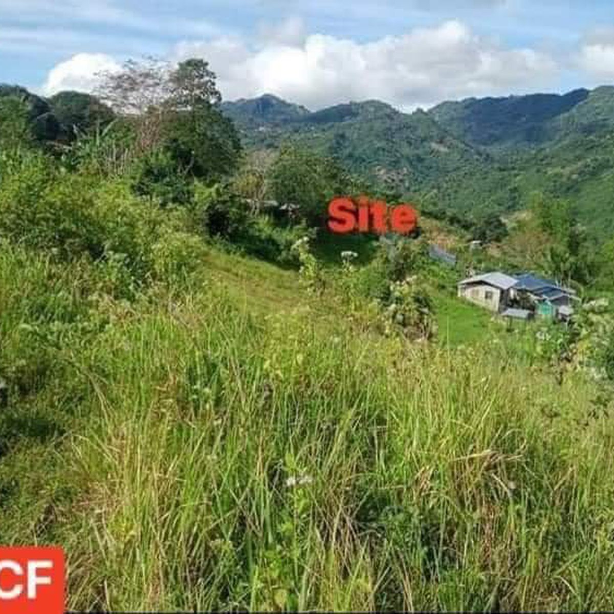 49 hectares Agricultural Farm For Sale in Cebu City Cebu [Lot 🚜] (June ...