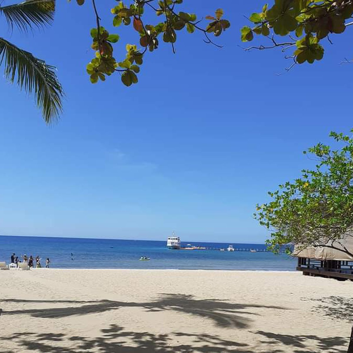 Residential lots in Camaya coast [Lot 🚜] (September 2021) in Bagac ...