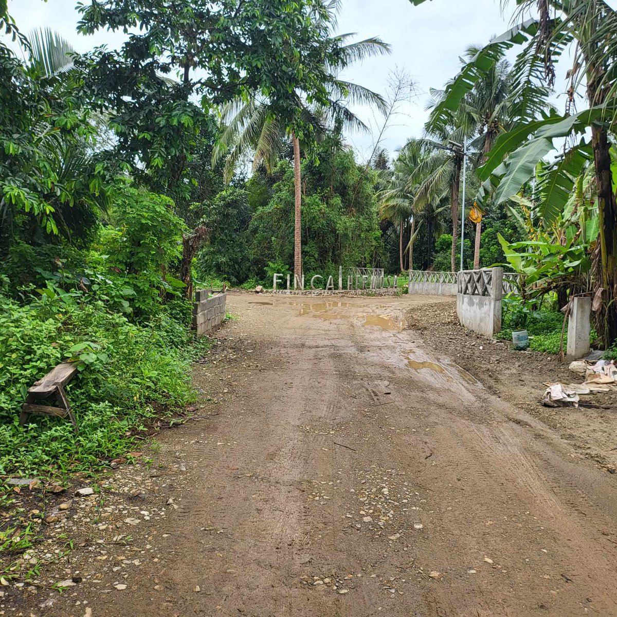 Farm lot in Alfonso Cavite for sale 500 sqm- good location [Lot 🚜 ...