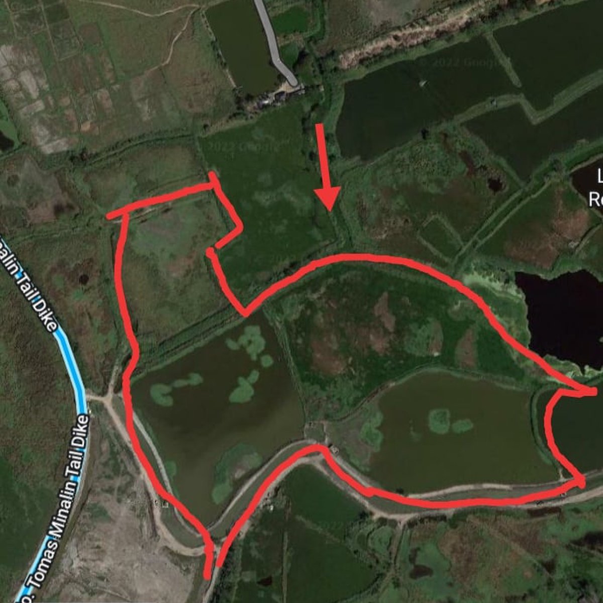 195673 sqm Fishpond For Sale By Owner in Santo Tomas Pampanga [Lot 🚜 ...