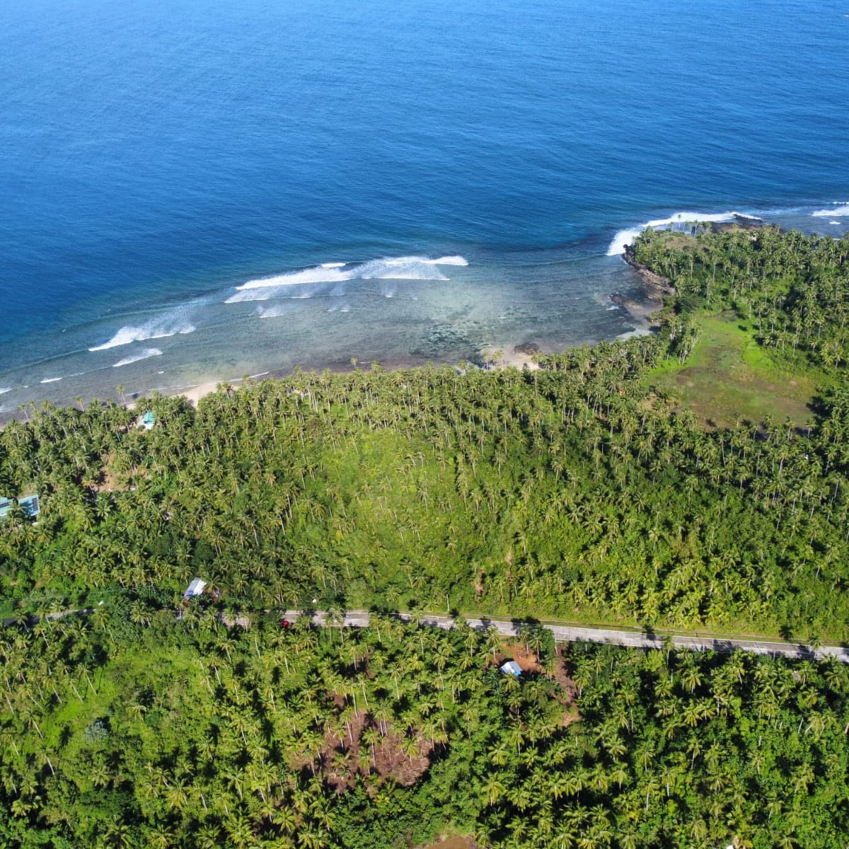 10 hectares beach property for sale [Beach Property 🏖️] (February 2024 ...