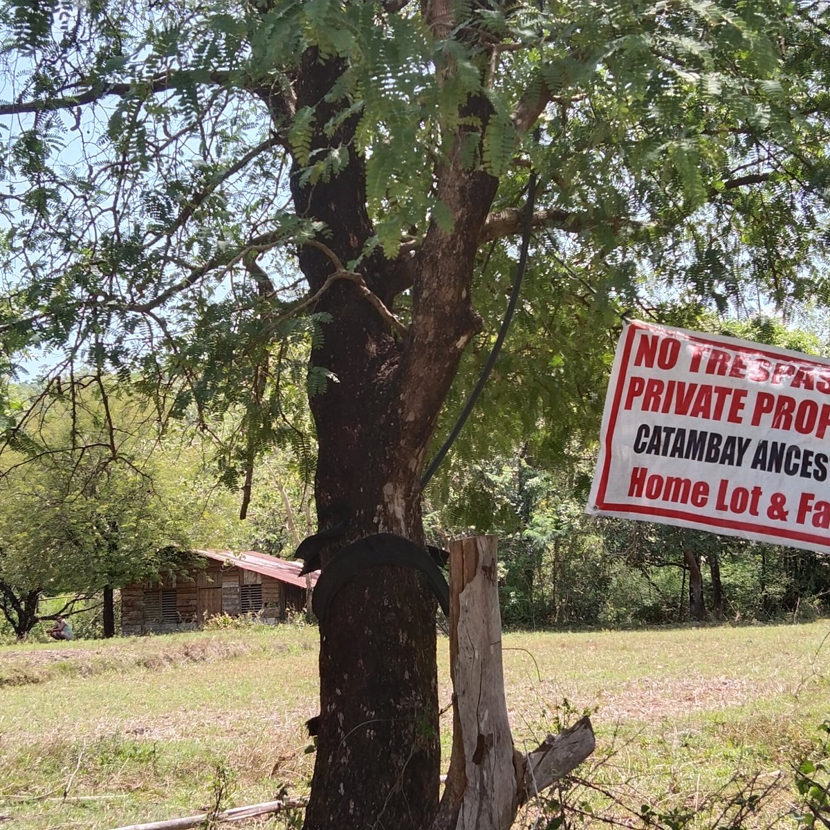 162503 sqm Raw Land For Sale By Owner in Tanay Rizal [Lot 🚜] (September ...